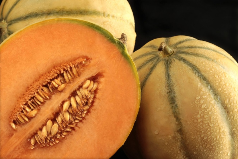 Unglaubliche Melonenvielfalt