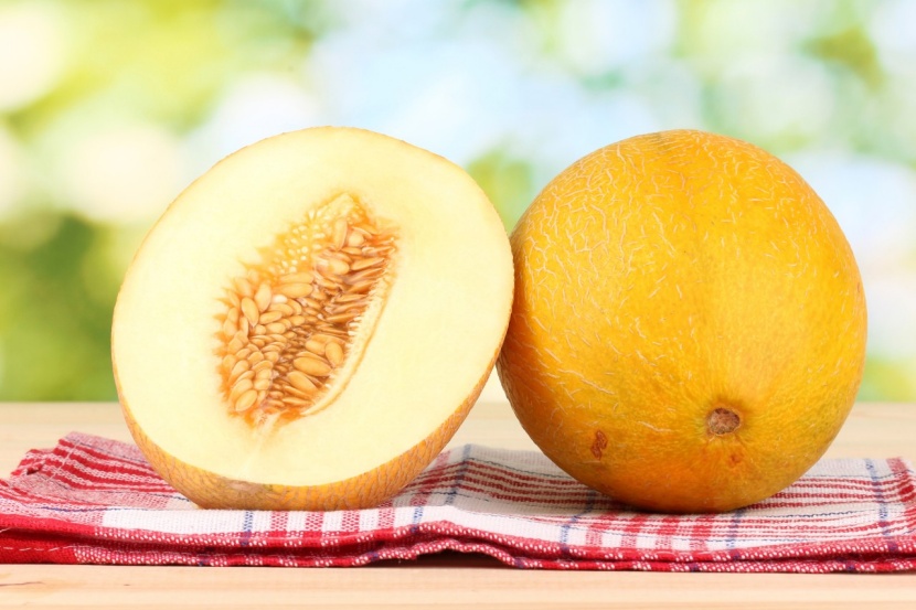 Unglaubliche Melonenvielfalt