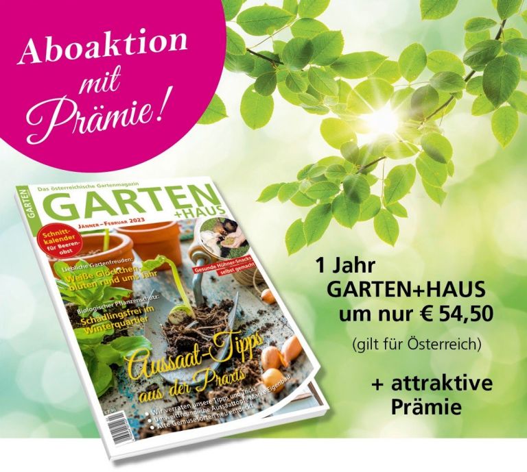 Diese Gartenstauden sind essbar