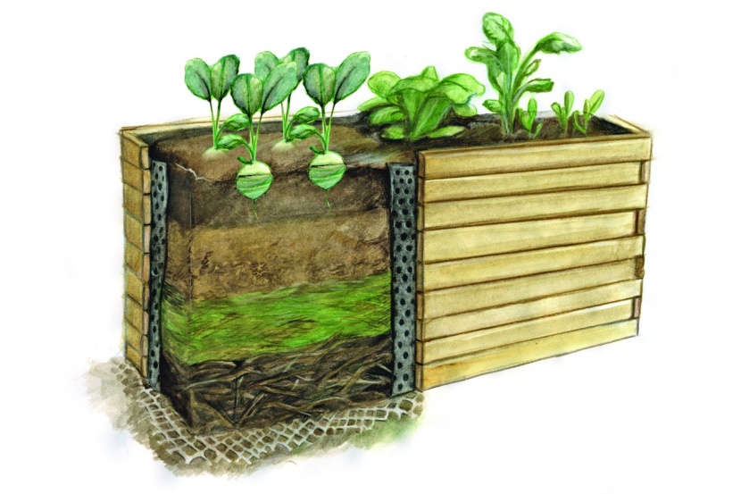 Jetzt Hochbeet anlegen!