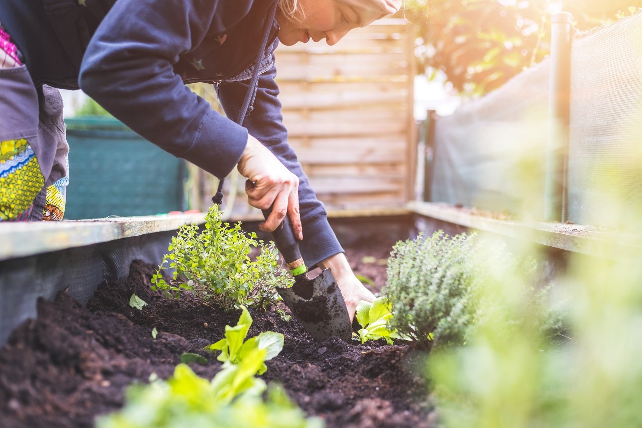 Die 5 wichtigsten Gartenarbeiten im April Die 5 wichtigsten Gartenarbeiten im April