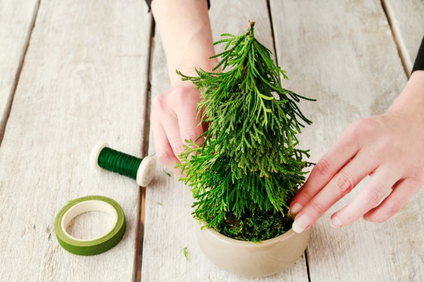 DIY: Christbäumchen im Zwergen-Format