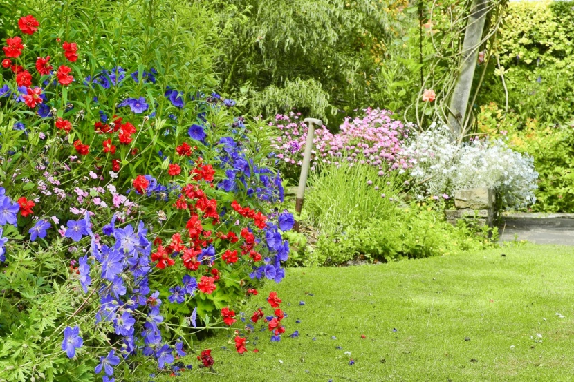 Unterschied zwischen Beet und Rabatte