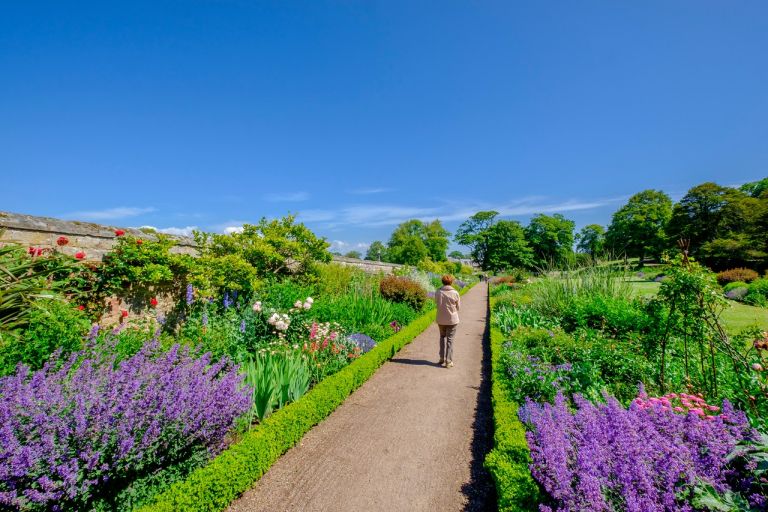 Unterschied zwischen Beet und Rabatte