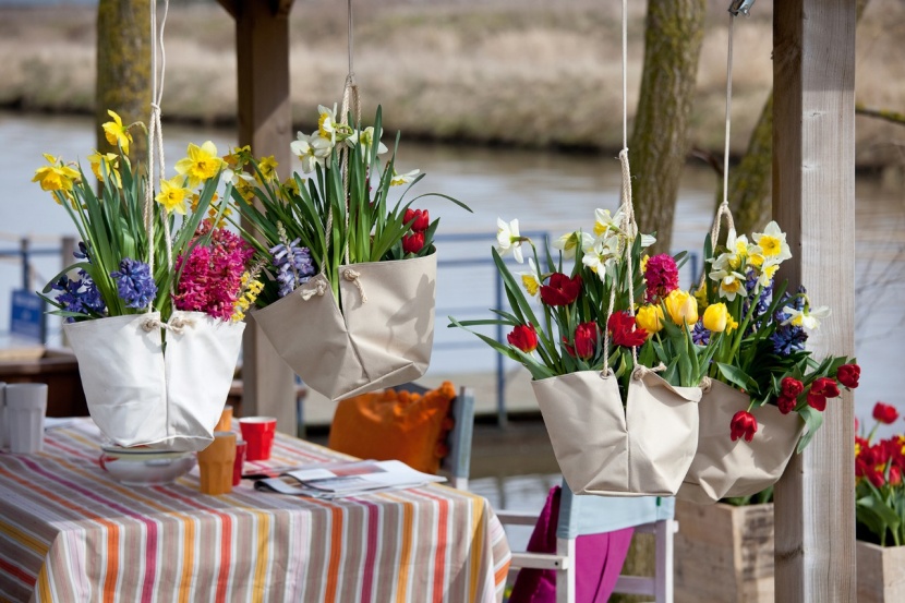 Pflanzidee mit Frühlingszwiebelblumen