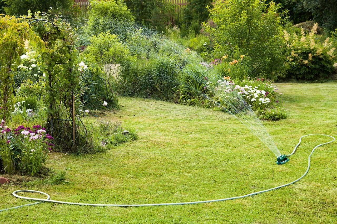 Wie wird der Rasen trockenfit?